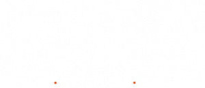 IOTA | Traffic Capture & Analysis Solution | Profitap