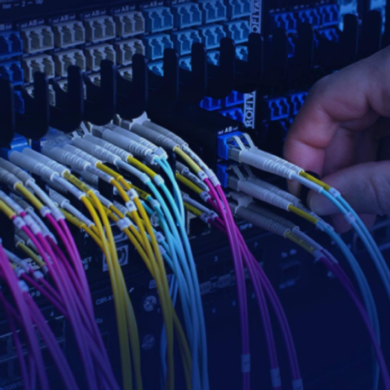 Network security solutions | Profitap